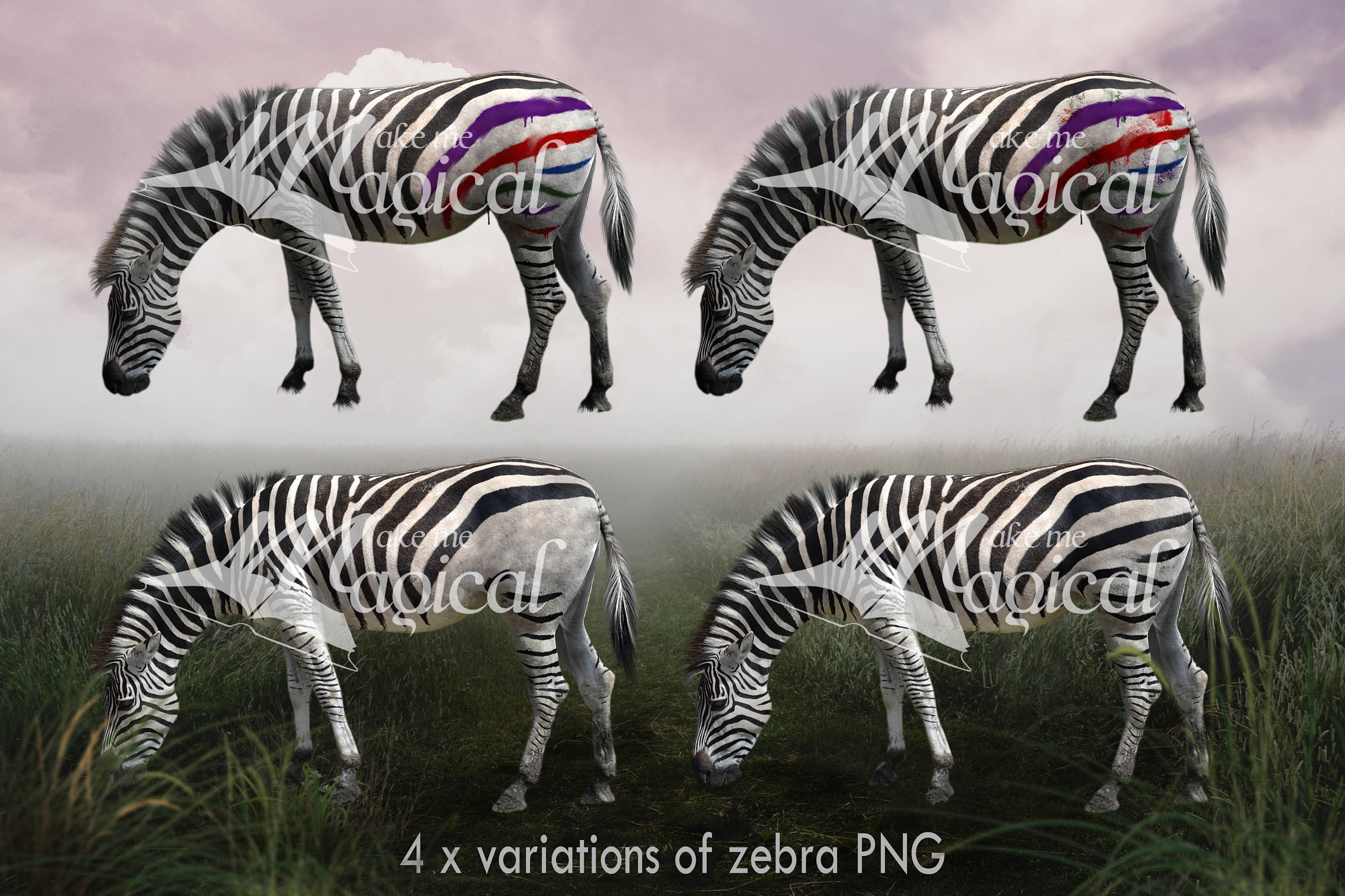 Painted Zebra Digital Backdrop Zebra Backgrounds 4 Zebra | Etsy