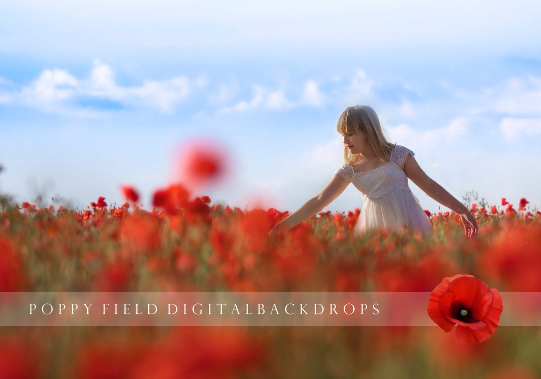 Poppy Flower Field Digital Backdrops Pack - 24 JPEG X Digital Backdrops ...