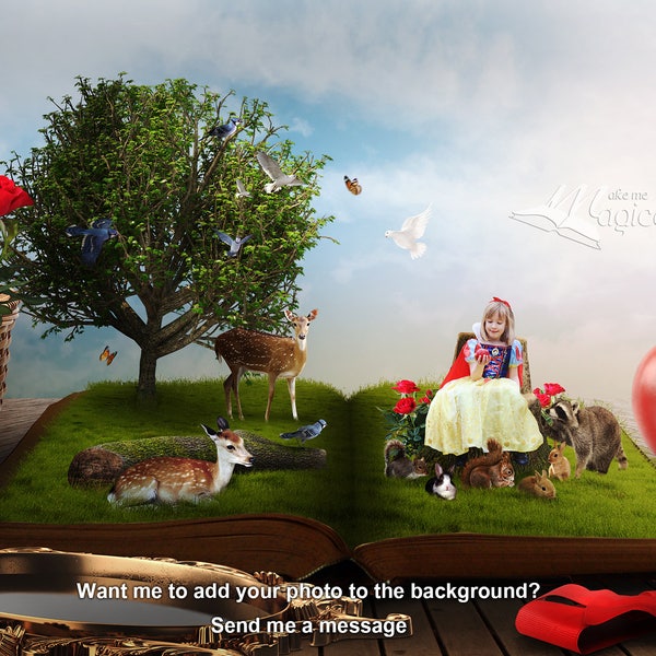 Snow White Backdrops - Etsy