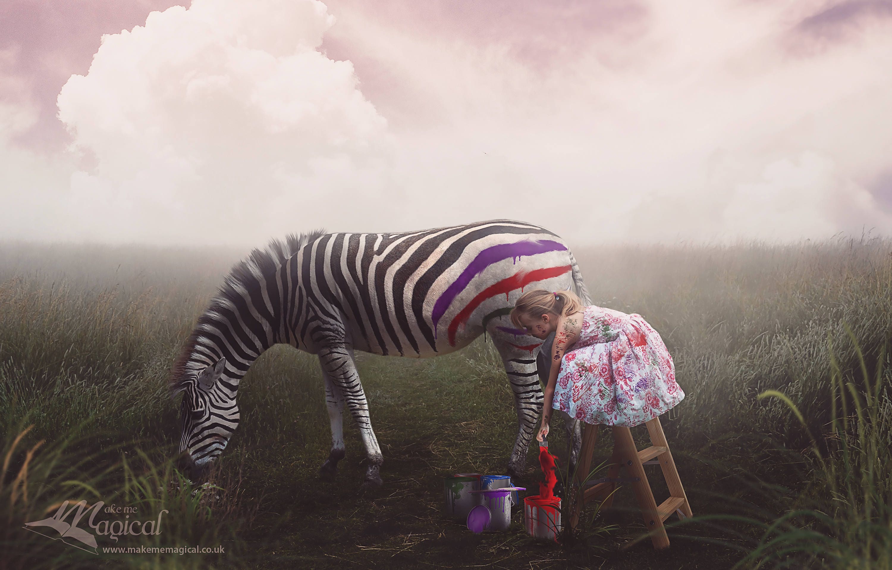 Painted Zebra Digital Backdrop Zebra Backgrounds 4 Zebra | Etsy