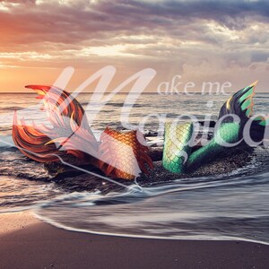 Mermaid Tails Background | Mermaid Background | Mermaid Backdrop ...