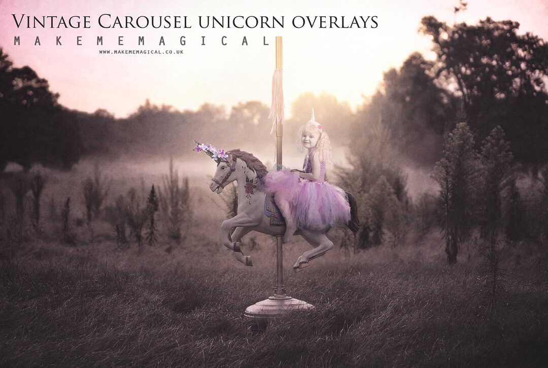 6 X Digital Carousel Unicorn Overlays, Digital Overlays, Unicorn ...