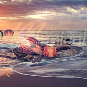 Mermaid Tails Background | Mermaid Background | Mermaid Backdrop ...