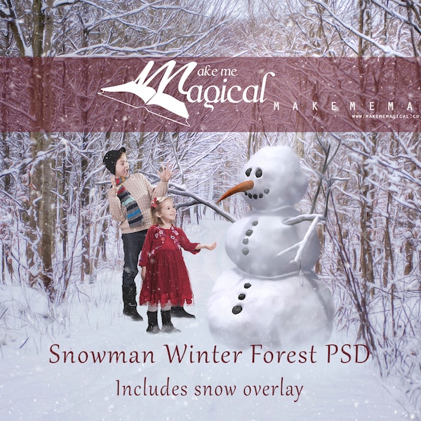 Winter Digital Backdrop - Etsy