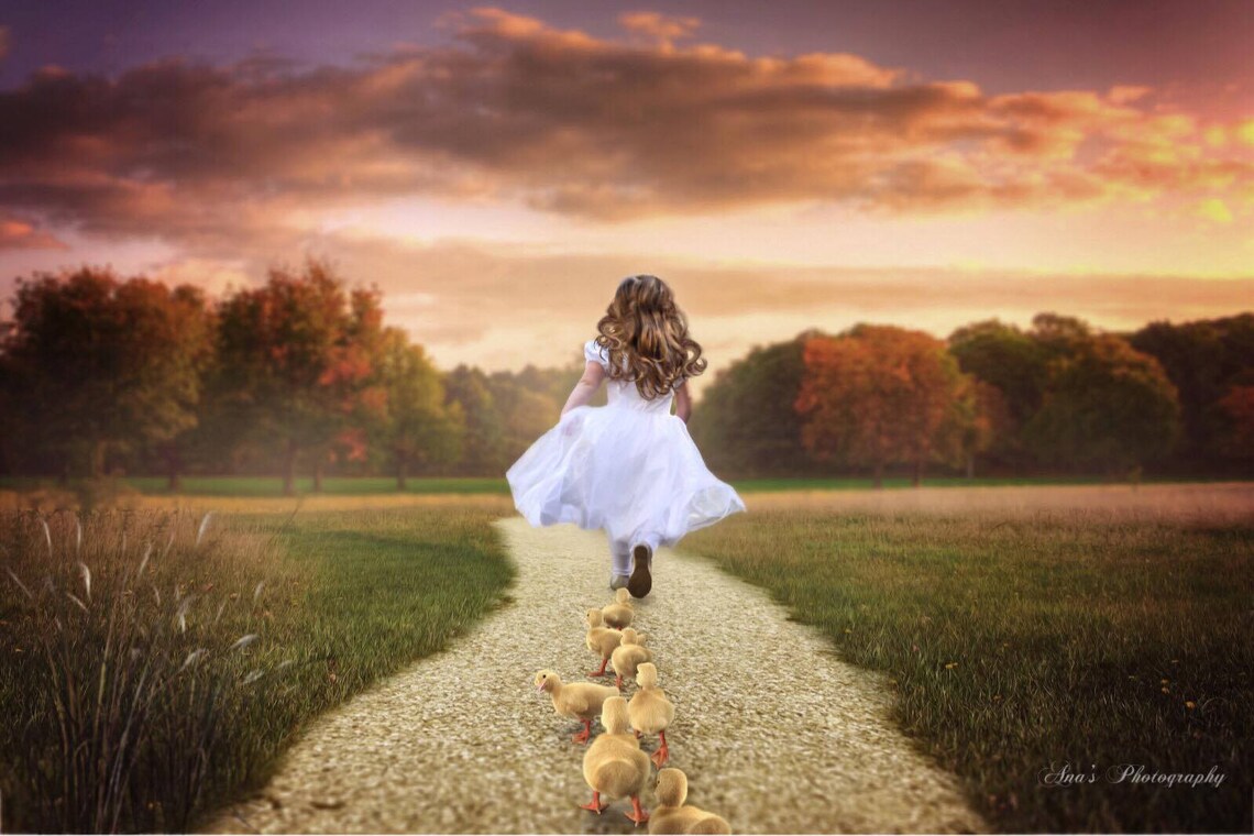 Digital Backdrop Digital Background Field Digital Backdrop - Etsy