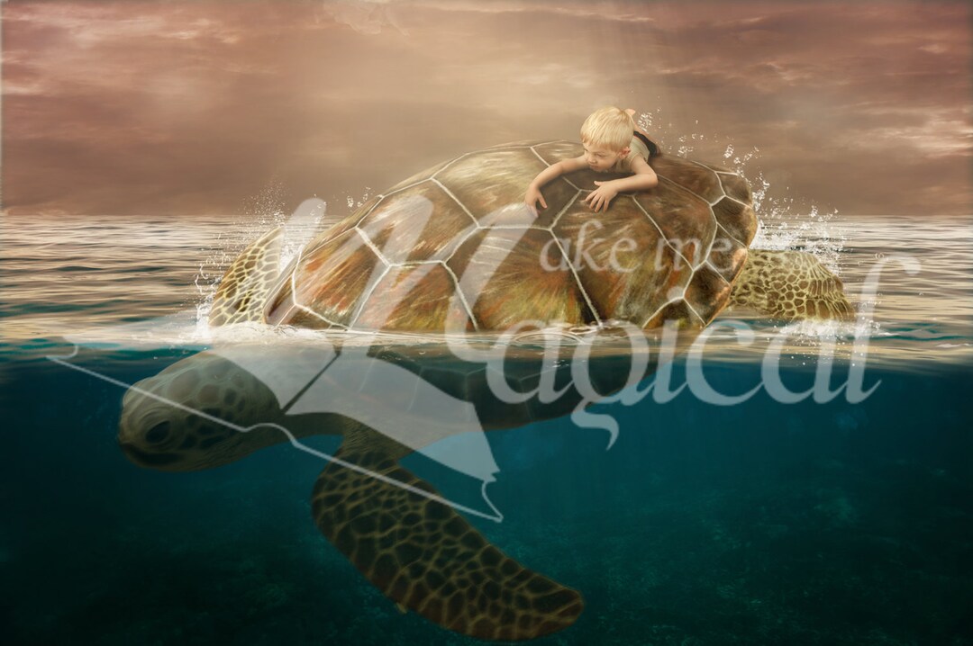 Turtle Backdrop | Turtle Background | Sea Turtle | Digital Backdrop ...