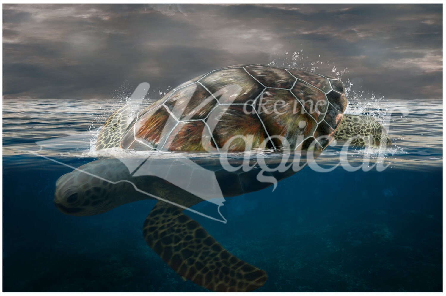 Turtle Backdrop Turtle Background Sea Turtle Digital - Etsy UK