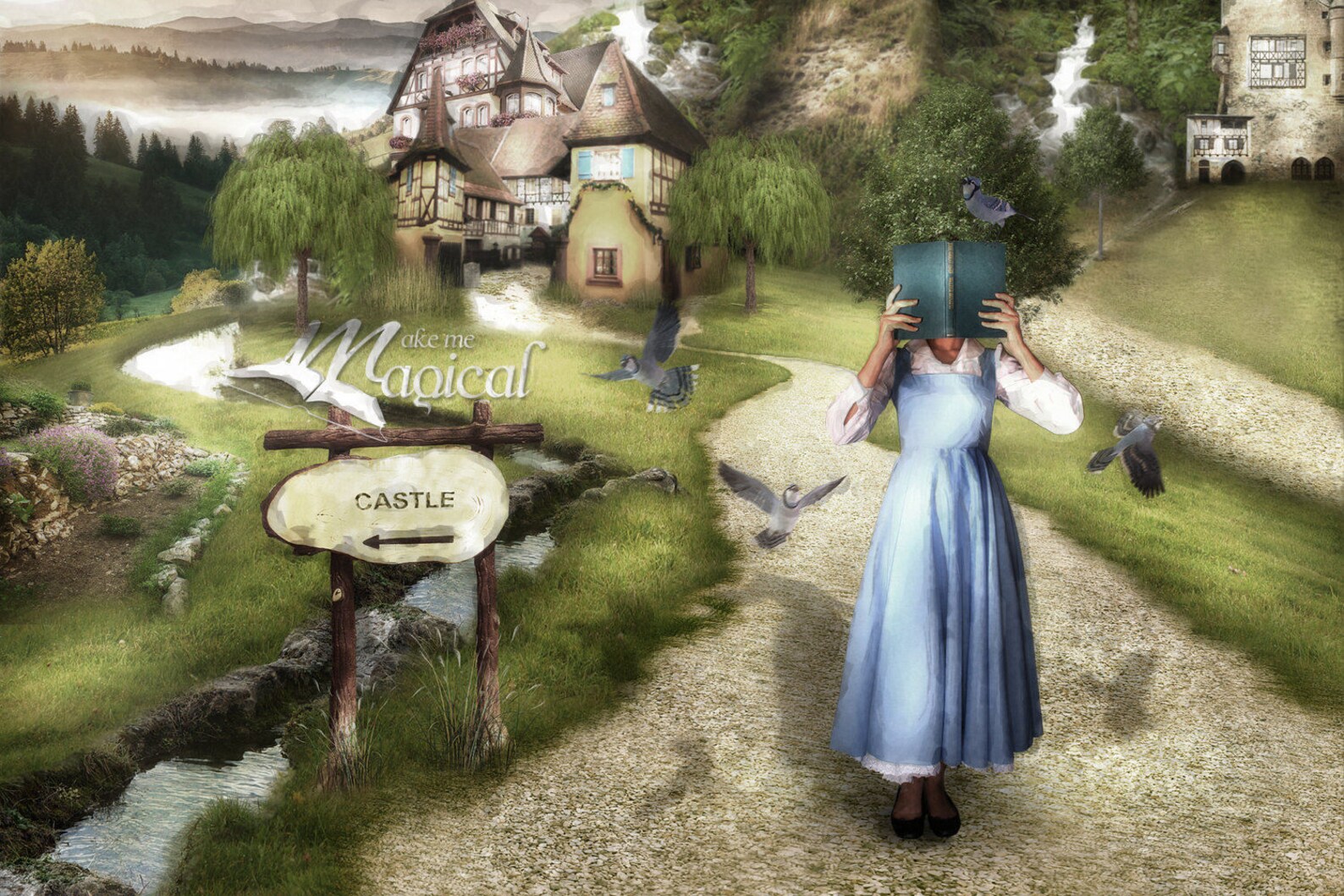 Beauty and the Beast Backdrop Belle Background Belle | Etsy