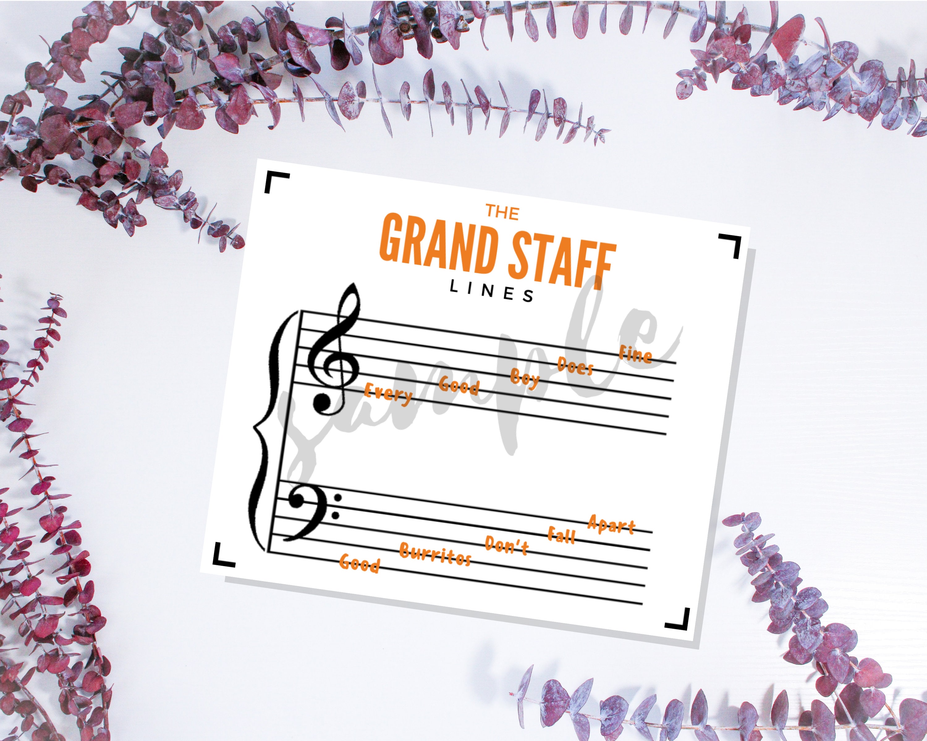 Grand Staff Lines and Spaces, Treble Clef and Bass Clef Notes, Learning ...