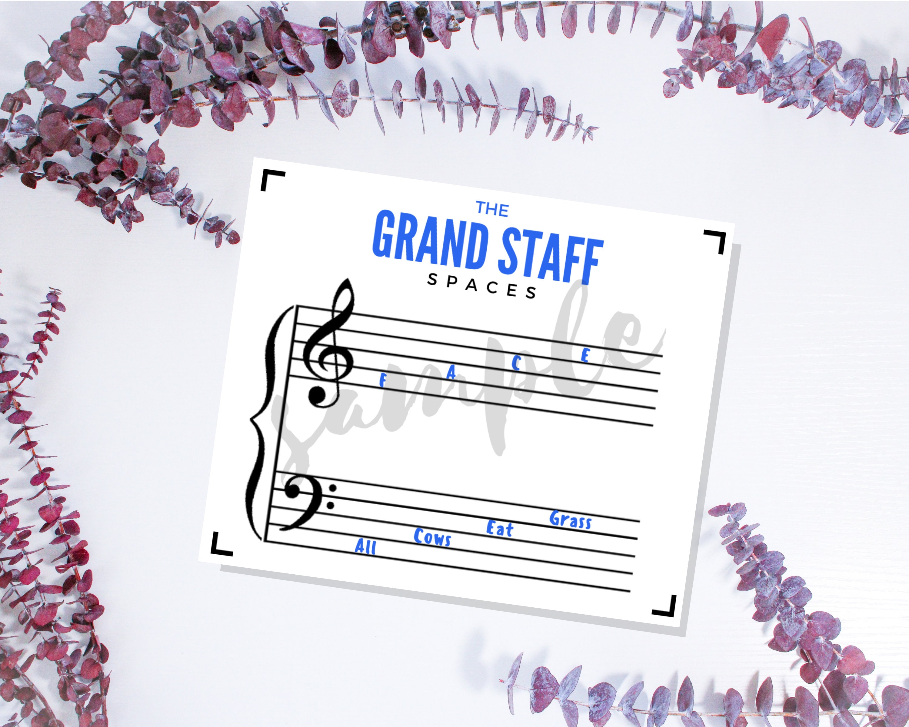 Grand Staff Lines and Spaces, Treble Clef and Bass Clef Notes, Learning ...