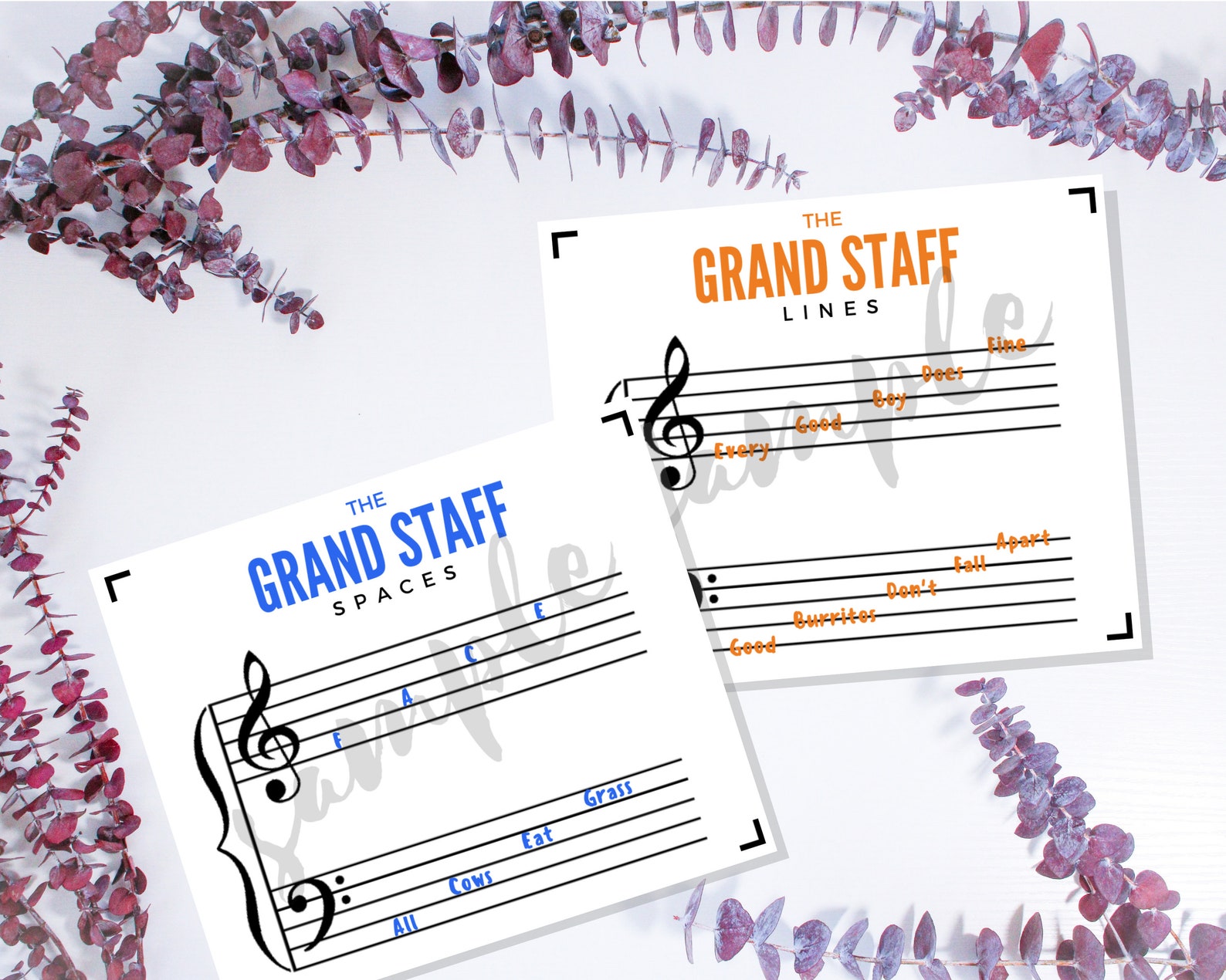 Grand Staff Lines and Spaces, Treble Clef and Bass Clef Notes, Learning ...