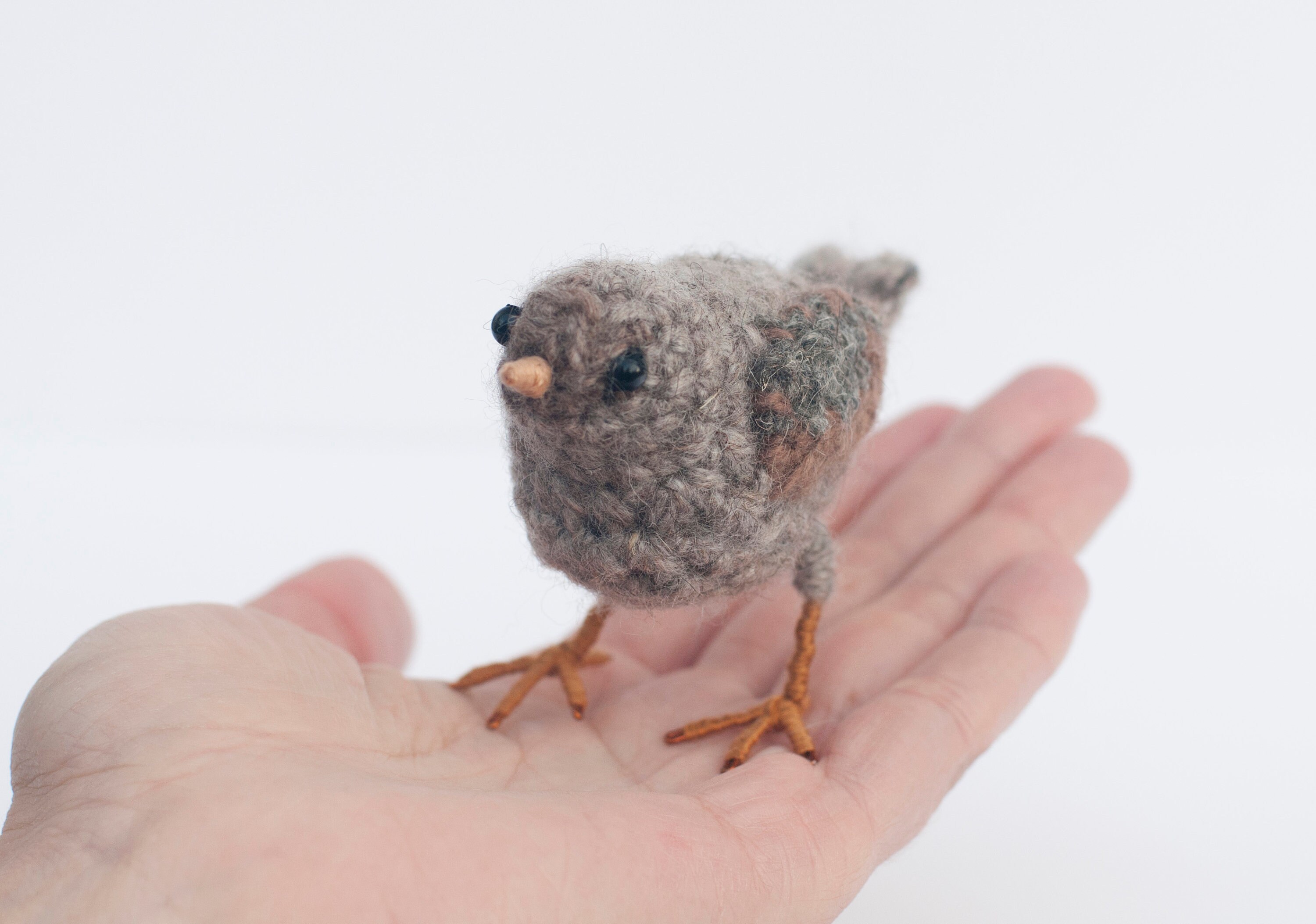 Realistic Bird Stuffed Animal Background