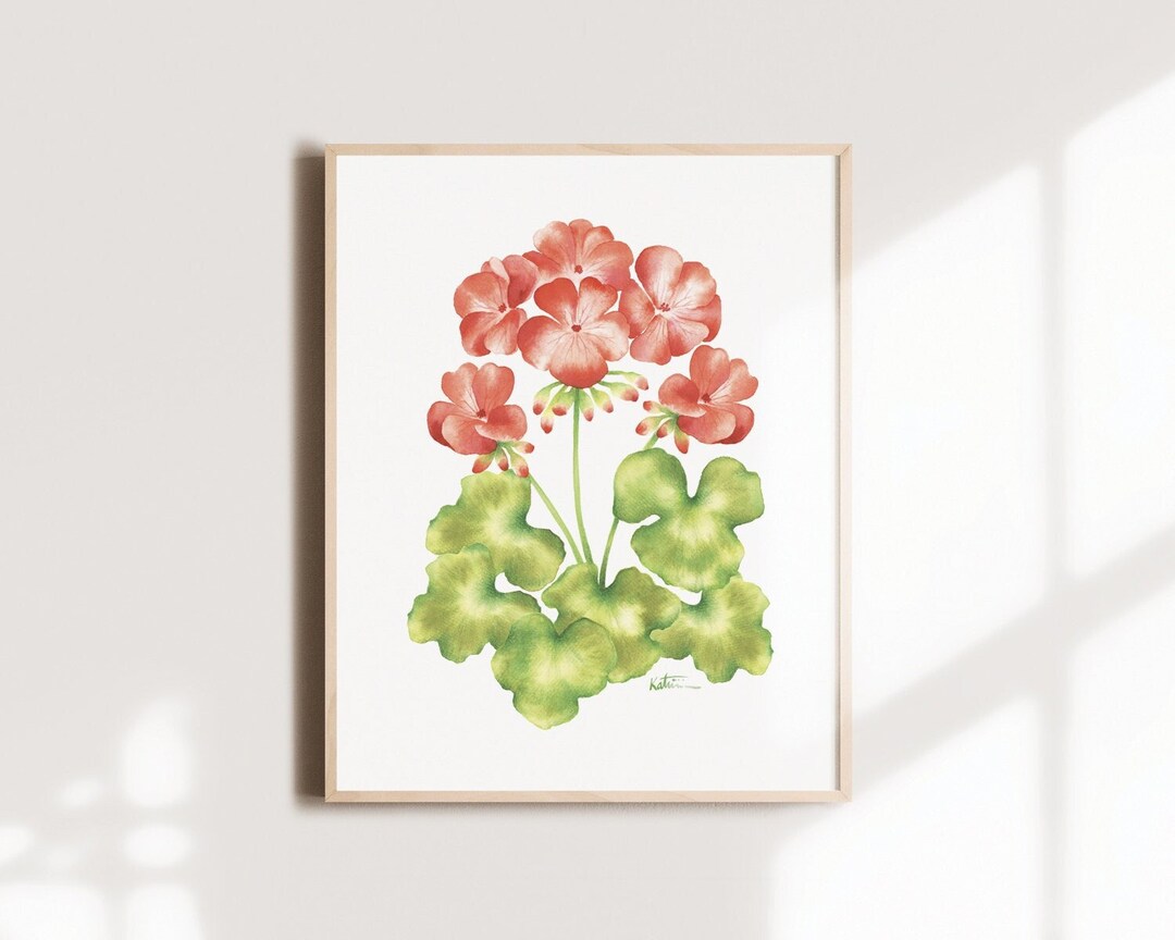 Geranium Flower Poster, Floral Illustration, Botanical Watercolor Art ...