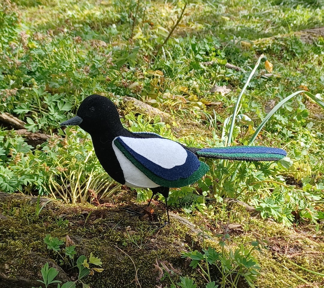 Magpie - PDF Hand Sewing Pattern - Waldorf Project - Nature Inspired ...