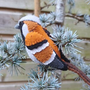 House Sparrow Pattern - PDF Sewing Pattern - Felt Pattern - Instant ...