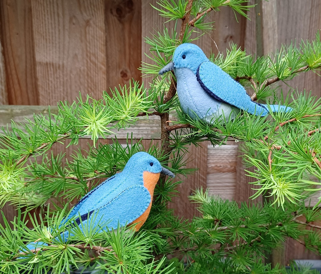Bluebird Sewing Pattern - PDF Pattern for the Mountain Bluebird and the ...