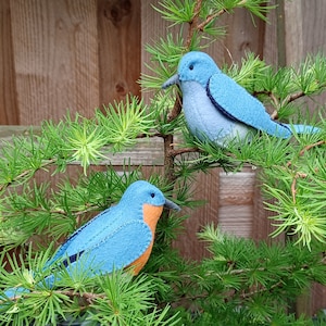 Bluebird Sewing Pattern - PDF Pattern for the Mountain Bluebird and the ...