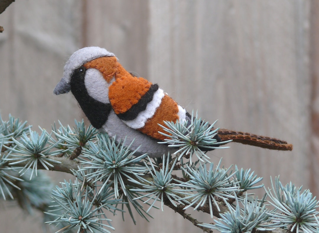 House Sparrow Pattern - PDF Sewing Pattern - Felt Pattern - Instant ...