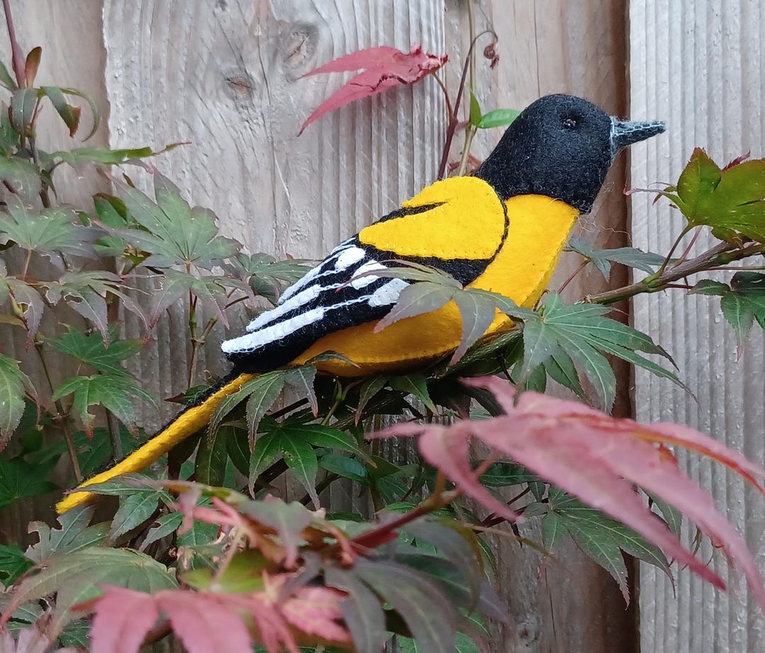 Baltimore Oriole PDF Pattern - Sewing Pattern - Instant Download - Etsy