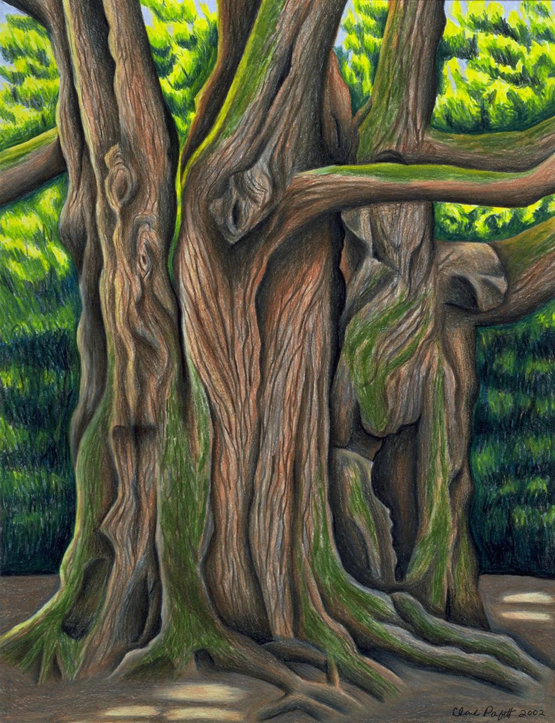 Grandmother Tree-original Drawing - Etsy