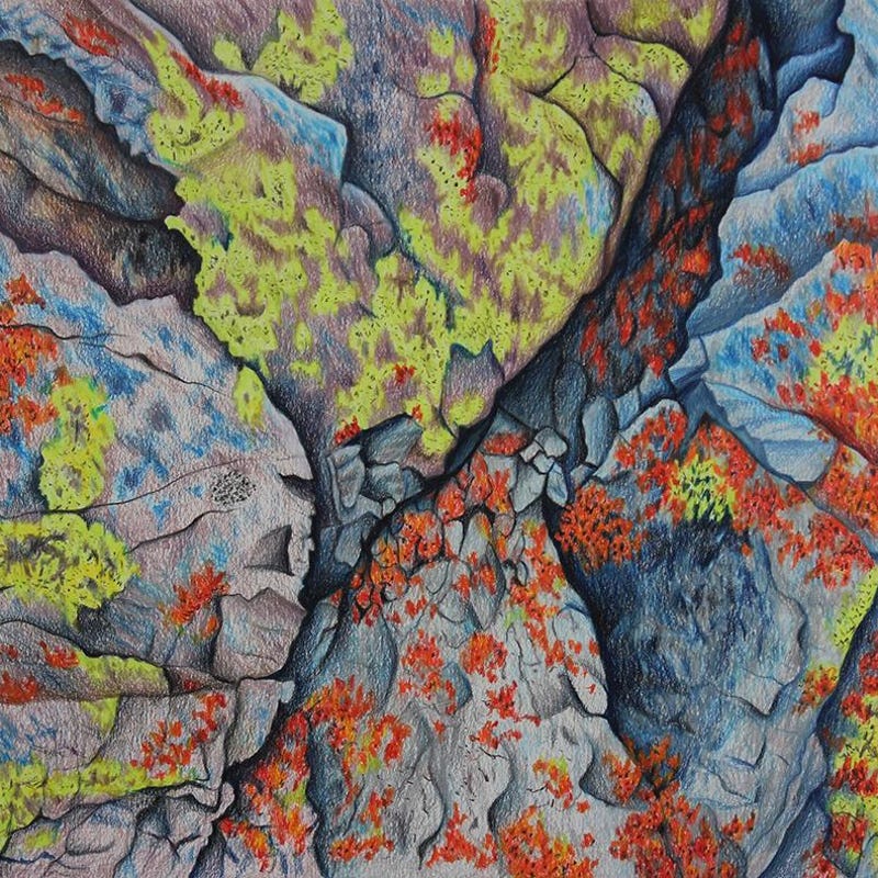 Lichen Drawing - Etsy