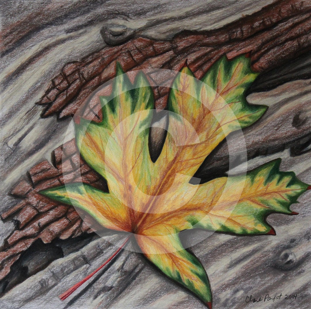 Maple Leaf-inkjet Print - Etsy