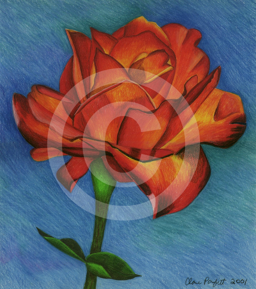 Red Rose-inkjet Print - Etsy