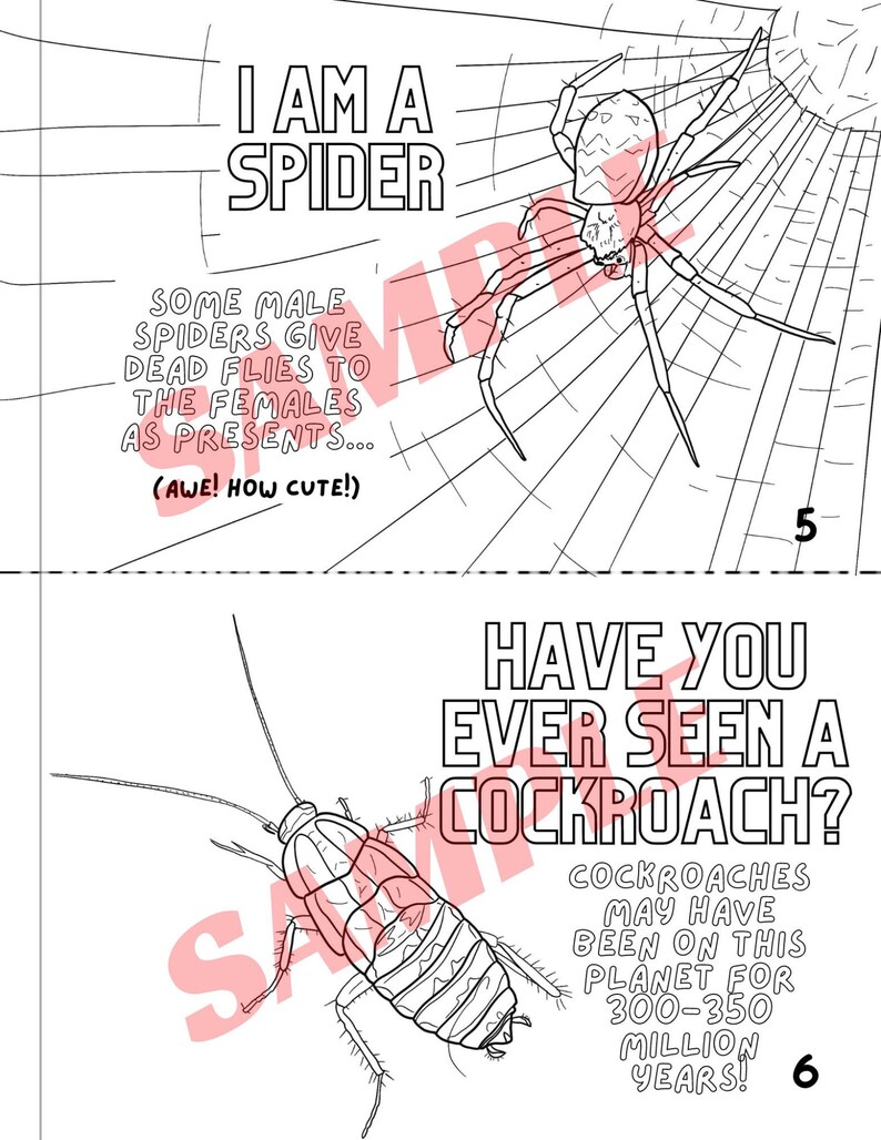 Instant Download Printout! I Made This Book- Bugs! Kids Educational ...