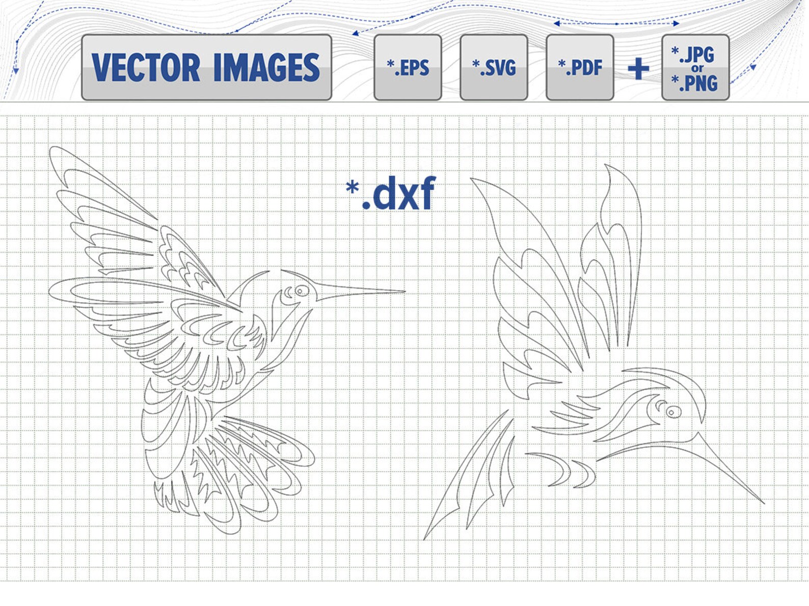 Hummingbirds Vector Graphic Svg, Dxf, Eps, Pdf and Png for Instant ...