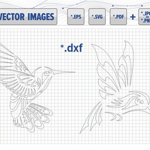 Hummingbirds Vector Graphic Svg, Dxf, Eps, Pdf and Png for Instant ...