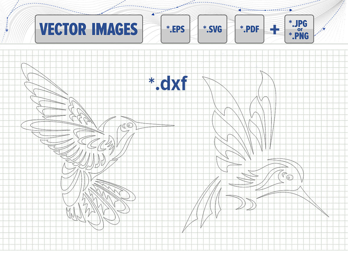 Hummingbirds Vector Graphic Svg, Dxf, Eps, Pdf and Png for Instant ...