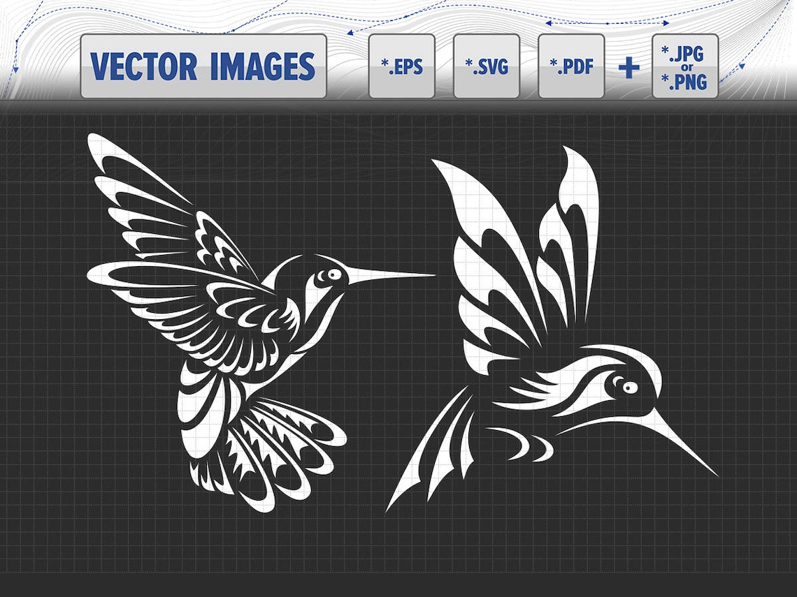 Hummingbirds vector graphic svg dxf eps pdf and png for | Etsy