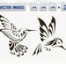 Hummingbirds Vector Graphic Svg, Dxf, Eps, Pdf and Png for Instant ...