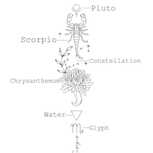 Scorpio Zodiac Symbols Tattoo Design/ Chrysanthemum Flower ...