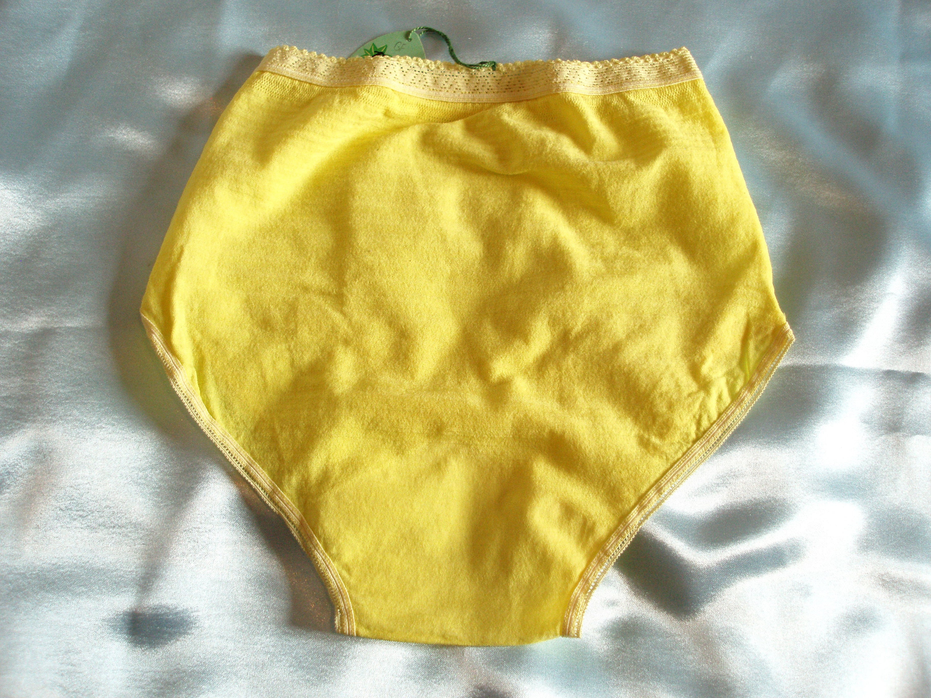 Knickers Panties Yellow Underwear Womans Panties Nylon Etsy