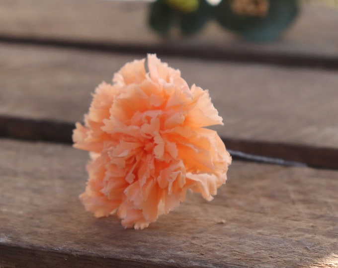Preserved Carnation on a Peak, Flower for Hair, Natural Preserved ...