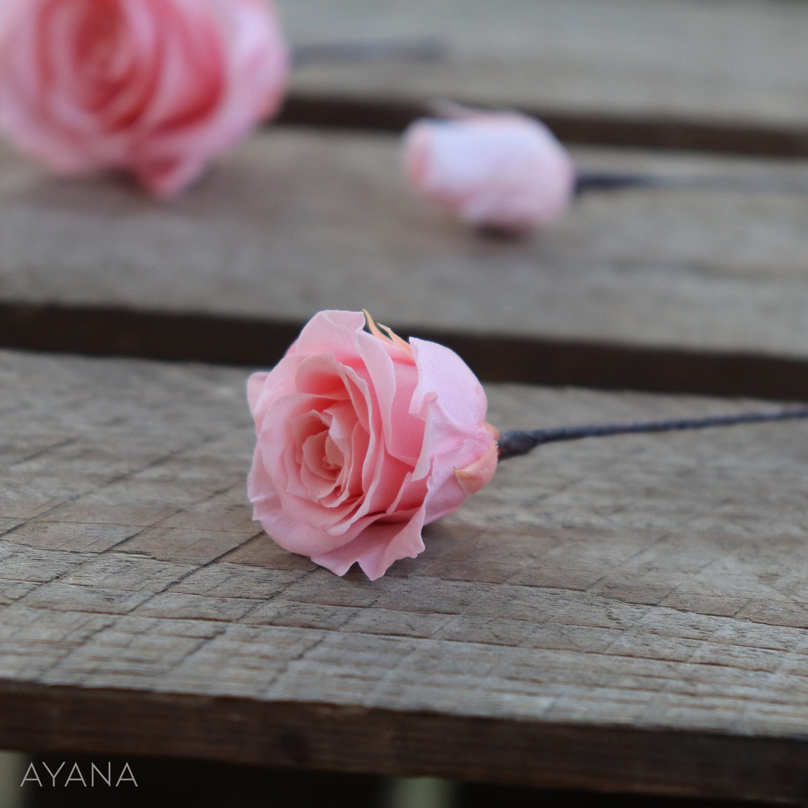 Mini Stabilized Rose on Peak Bridal Hairstyle Peak Natural - Etsy