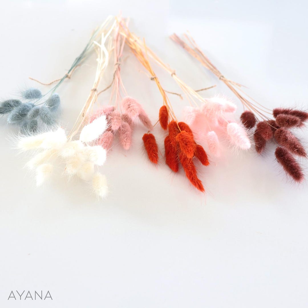 Bunch of Natural Dried Lagurus in Pastel Pink, White, Old Pink, Sage ...