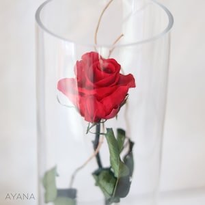Eternal Red Rose on Stem in a Large Vase for Valentine's Day and ...