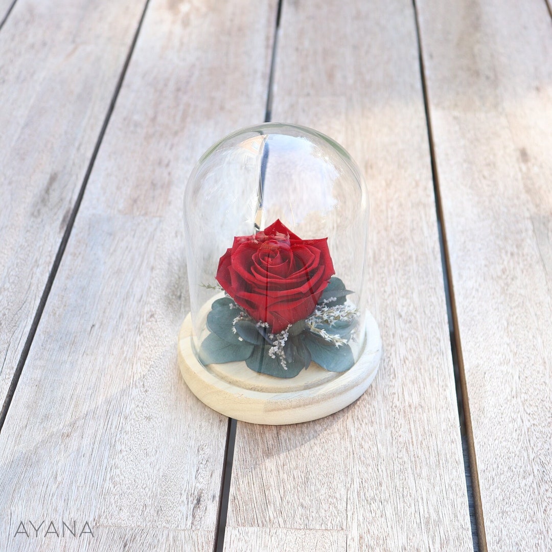 Glass Bell JOUR DE FETE Original Hand Made Flower Gift, Preserved ...