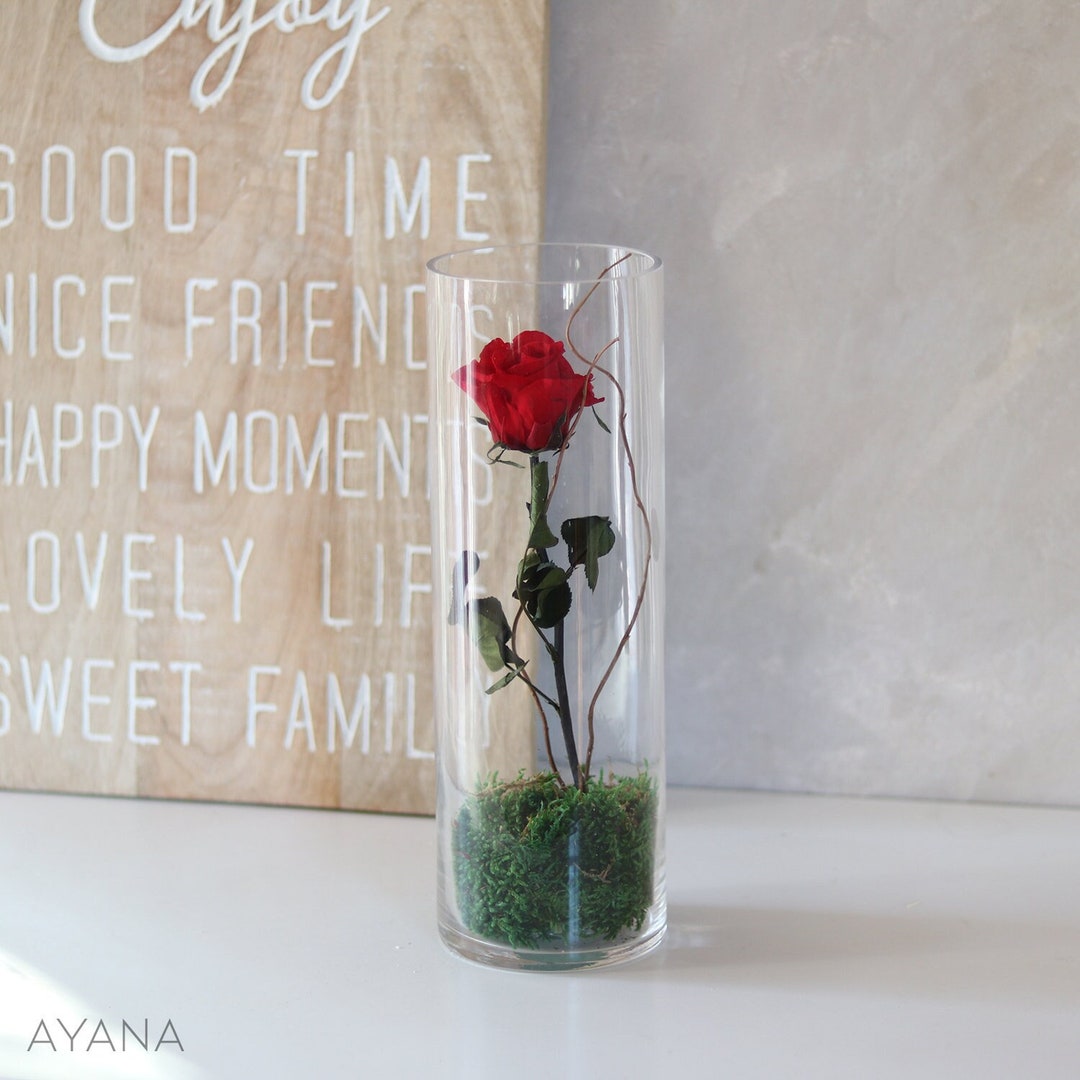 Eternal Red Rose on Stem in a Large Vase for Valentine's Day and ...