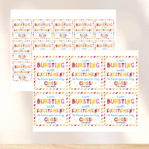 I Am Bursting With Excitement to Have You in My Class, EDITABLE Tags ...