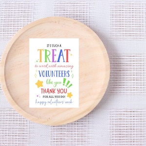 Volunteer Gift Tag Printable, Volunteer Tag, Volunteer Thank You ...