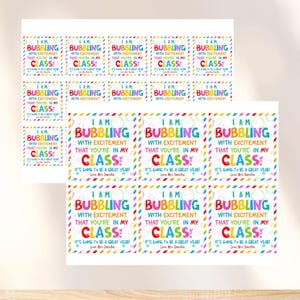 I Am Bubbling With Excitement to Have You in My Class Bubbles Tag ...