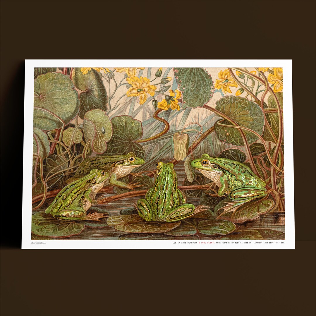 LOUISA ANNE MEREDITH - A Cool Debate - Some of My Bush Friends in ...