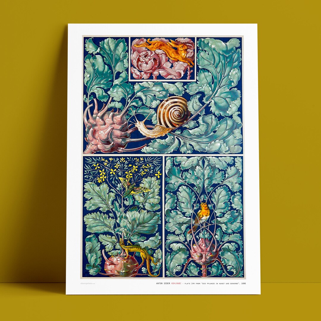 Anton Seder Art Nouveau Print: Kohlrabi, Robin, Snail Giclée Art - Etsy