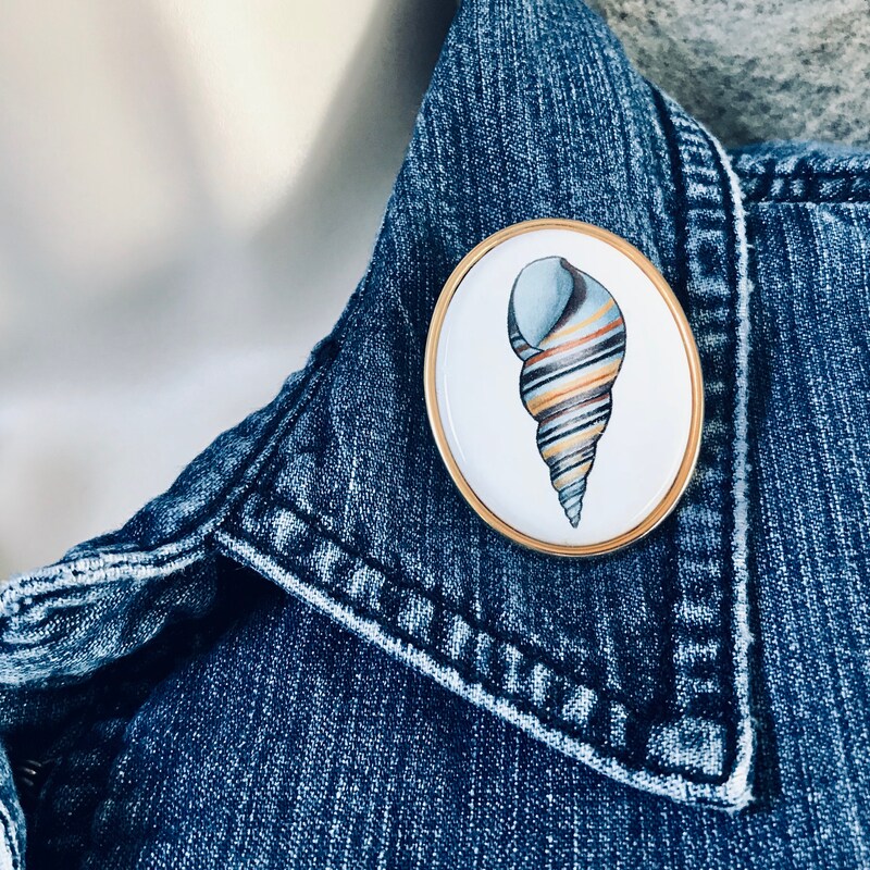 Seashell Brooch - Etsy