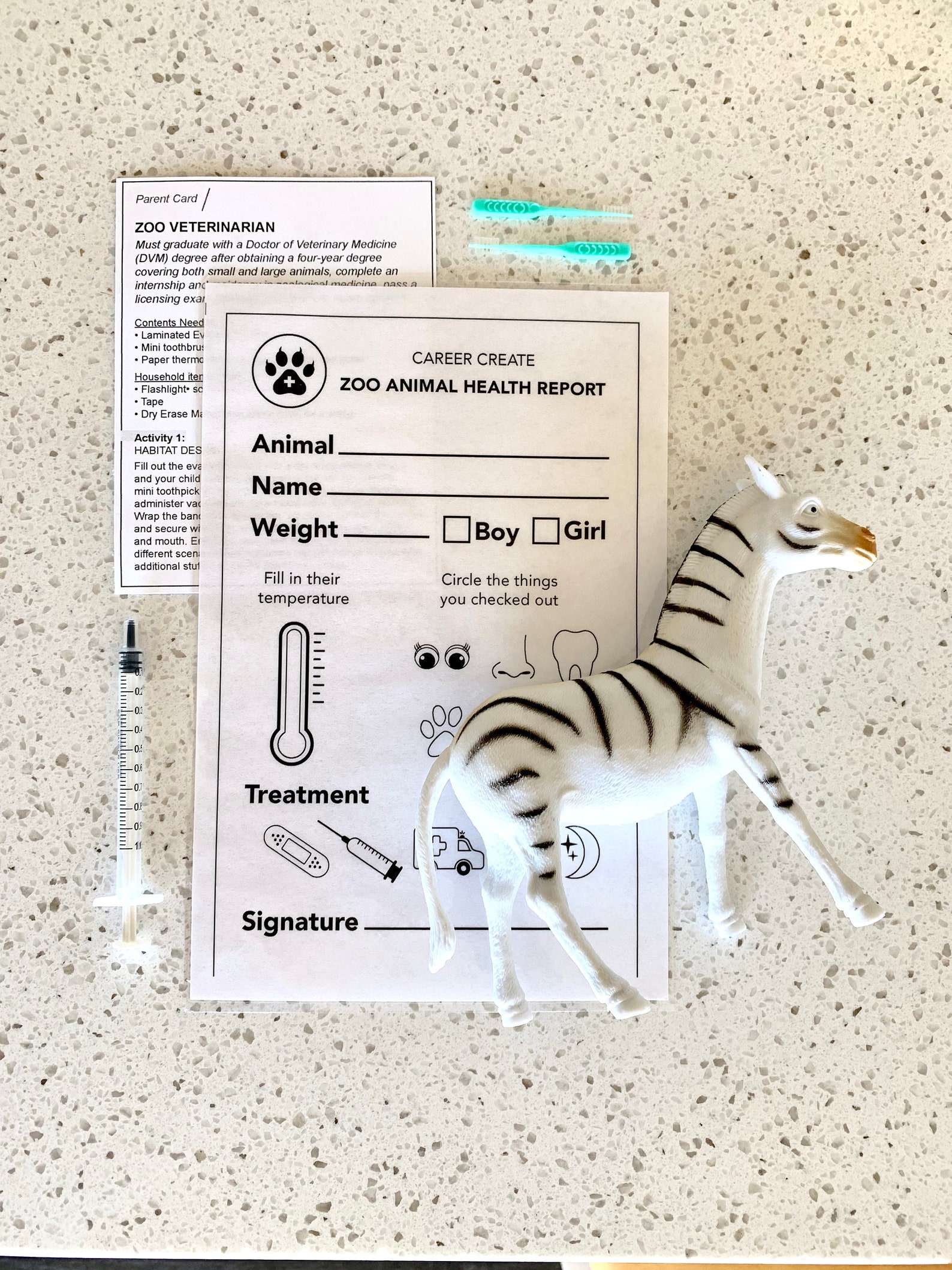 Zoo Jobs Career Crate - Kids Activities - Zoo Activity - Animal ...