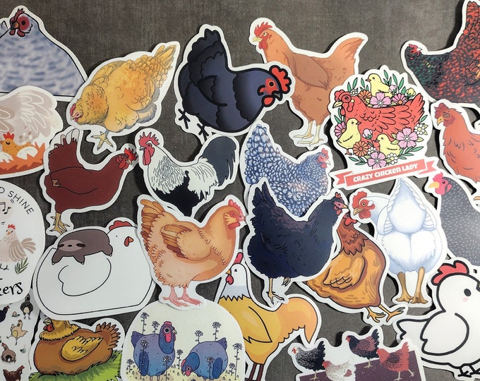 Chicken Hen Poultry Sticker 25 Pack- Trendy for Water Bottle, Laptop ...