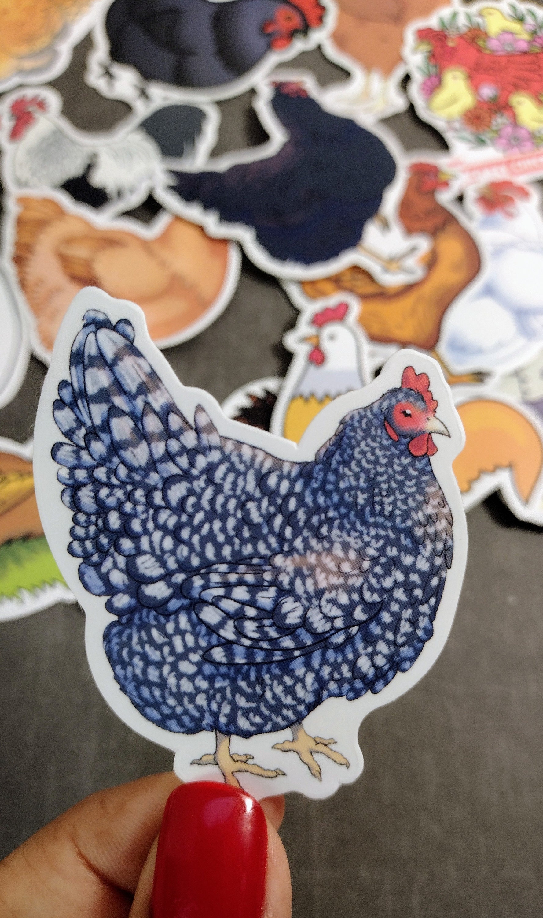 Chicken Hen Poultry Sticker 25 Pack Trendy for Water Bottle - Etsy